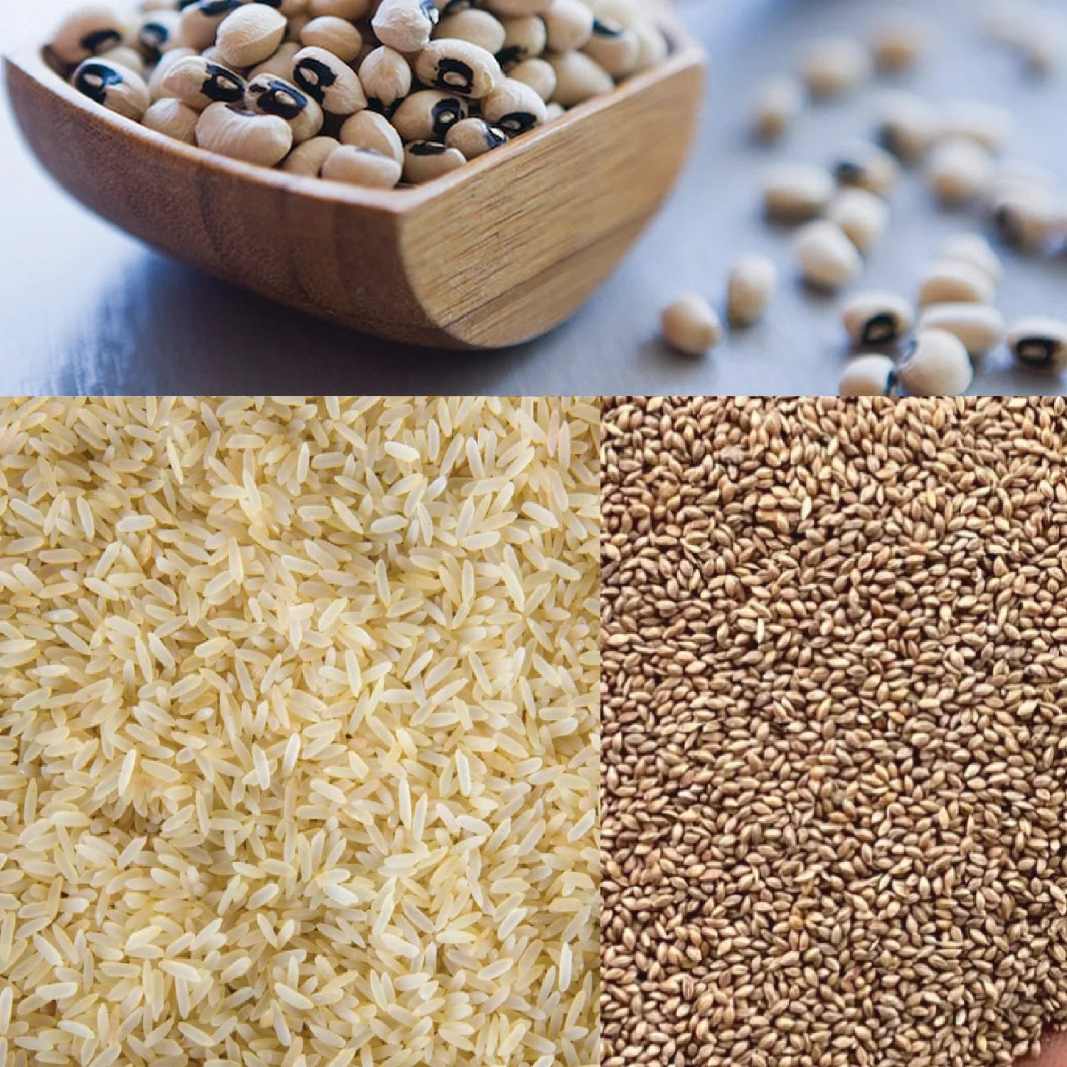 Beans/Grains/Granules – ZYFOK FOODS