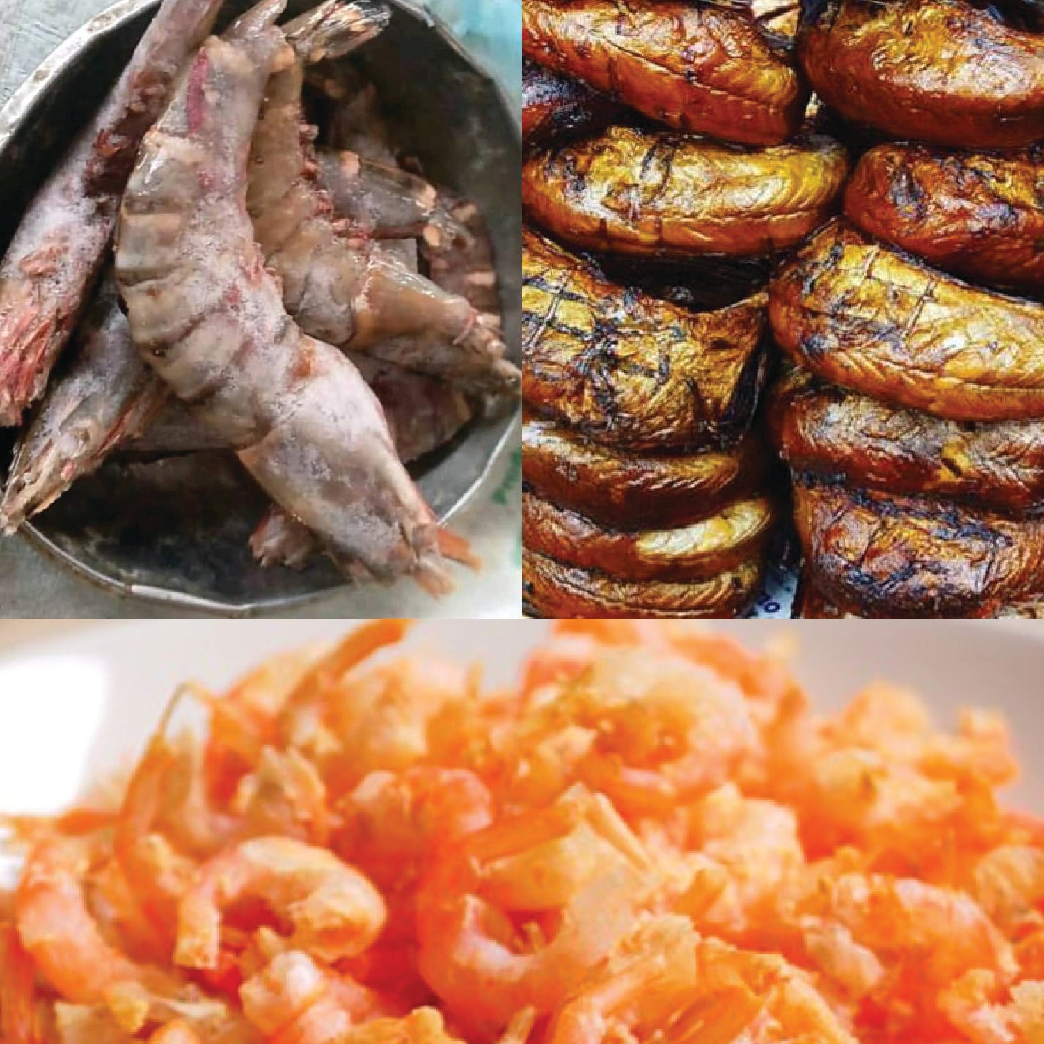 Seafood & Fish & Meat – ZYFOK FOODS