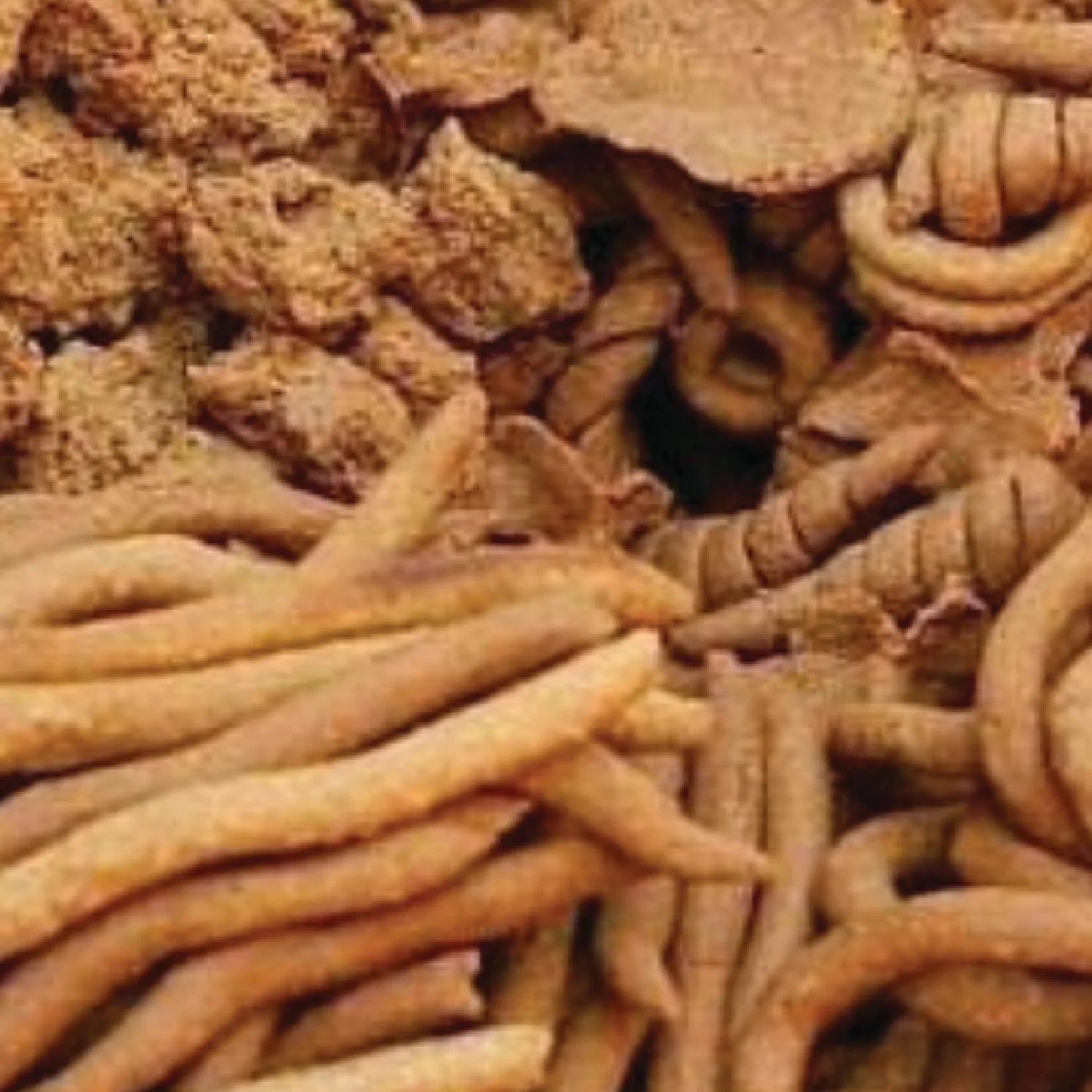 African Snacks – ZYFOK FOODS